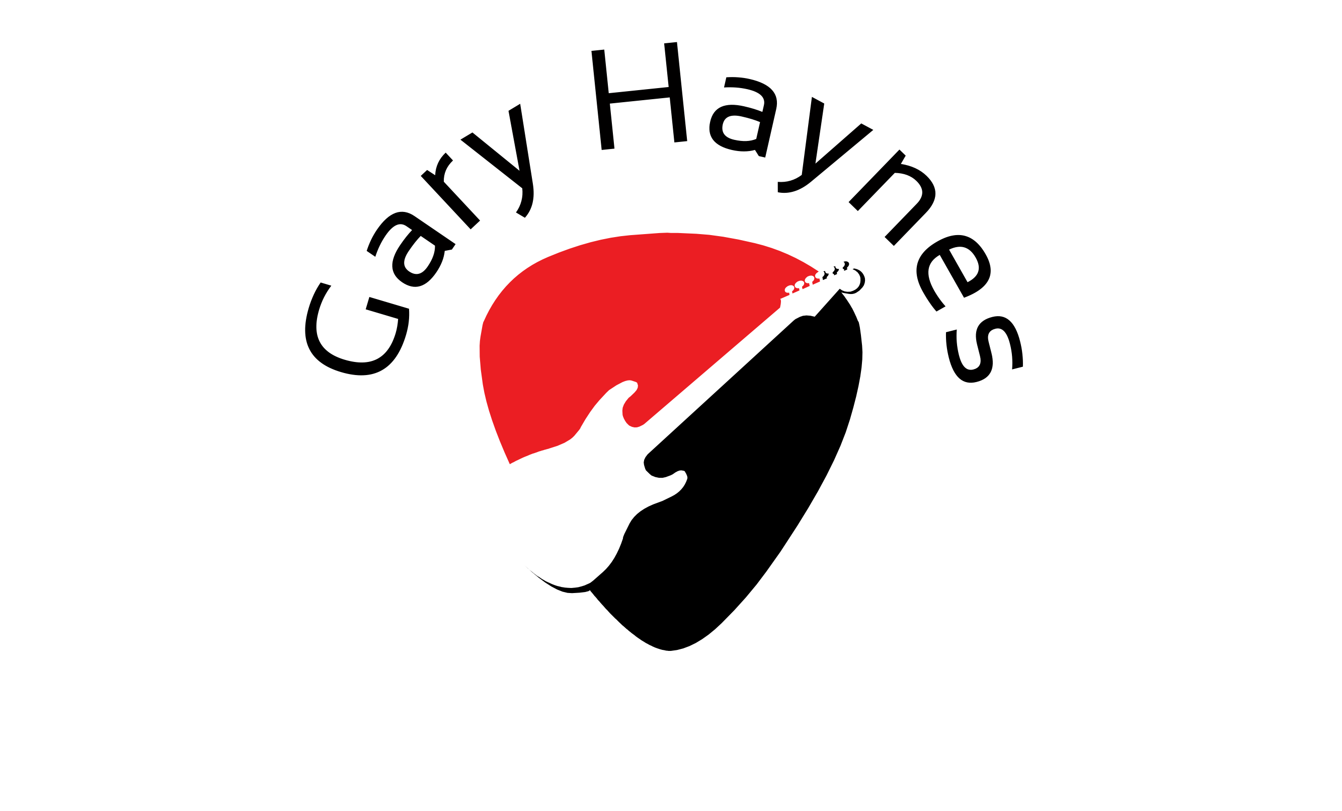 Biography – Gary Haynes